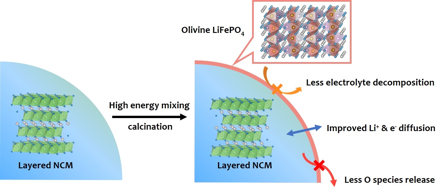 Enhanced electrochemical performance and thermal stability of LiNi0.8Co0.1Mn0.1O2 via dry ...