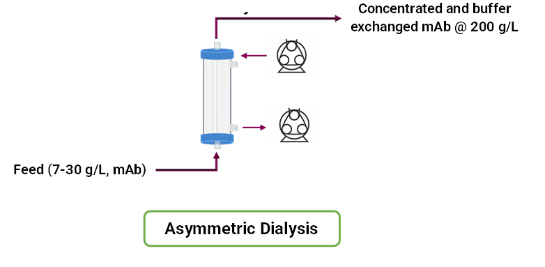 Asymmetric dialysis: simultaneous single-pass concentration ...