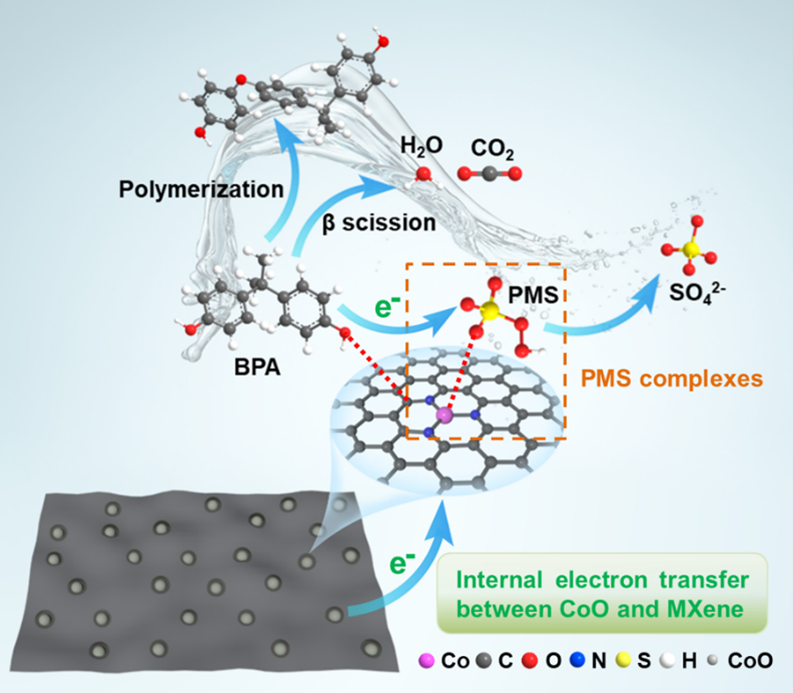 Derivatives of two-dimensional MXene-MOFs heterostructure for boosting peroxymonosulfate ...
