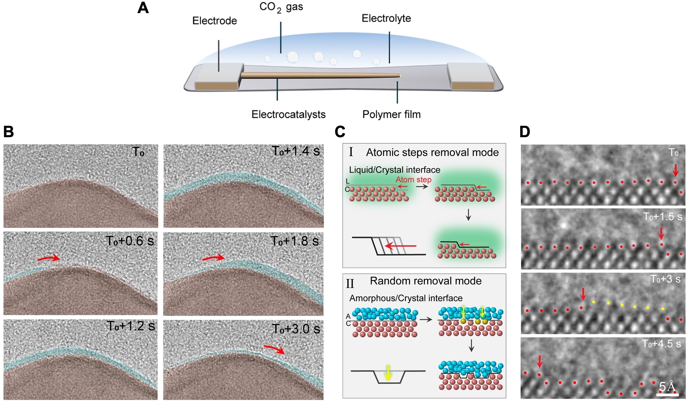 Atomic scale dynamics of activated Cu catalyst surfaces during ...