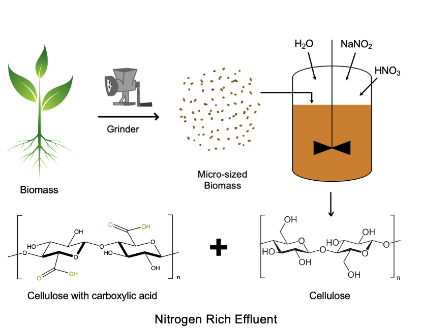 Optimization of nitro-oxidation process for nanocellulose extraction ...