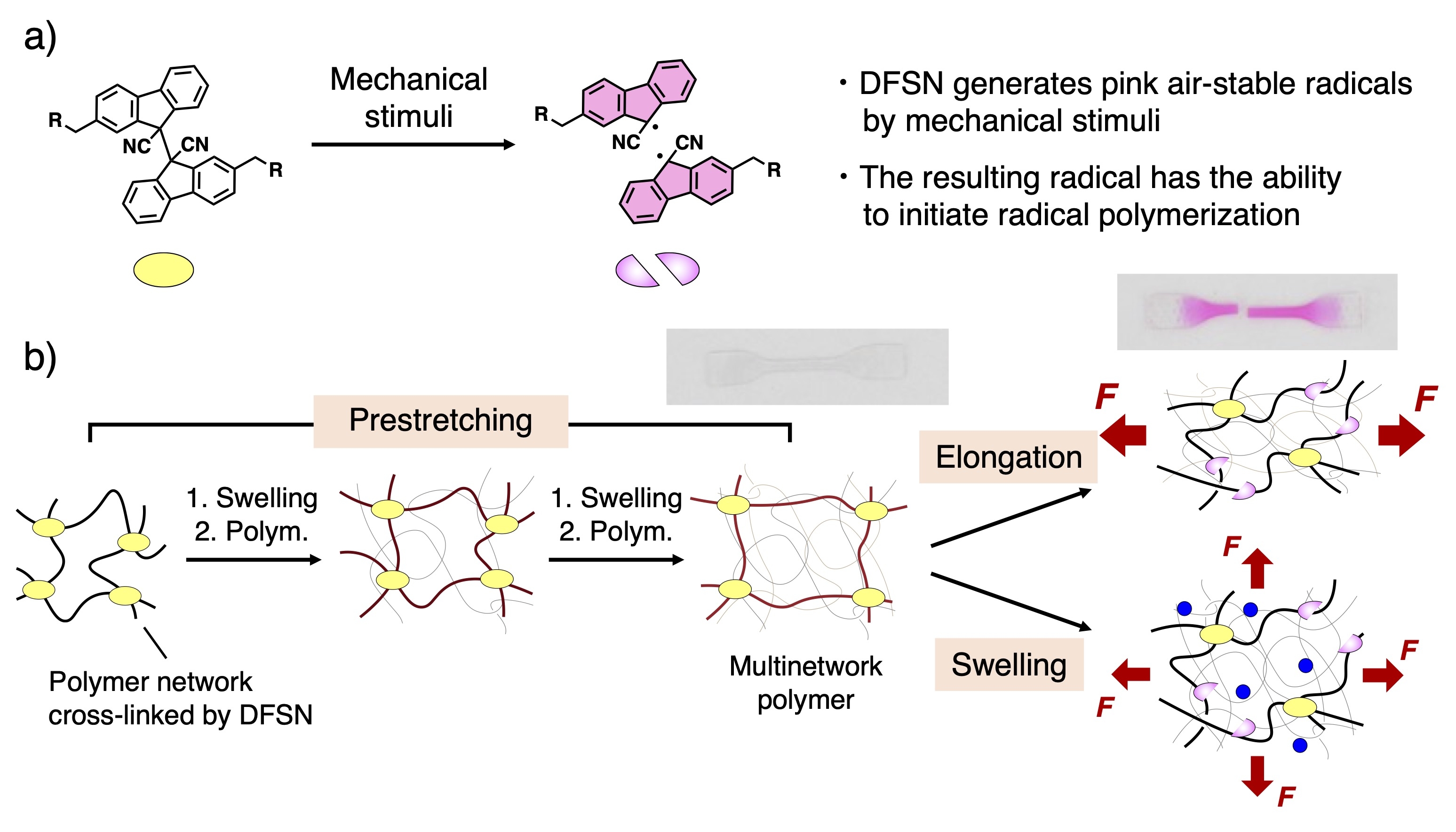 Polymer mechanochemistry based on radical-type mechanophores - American ...