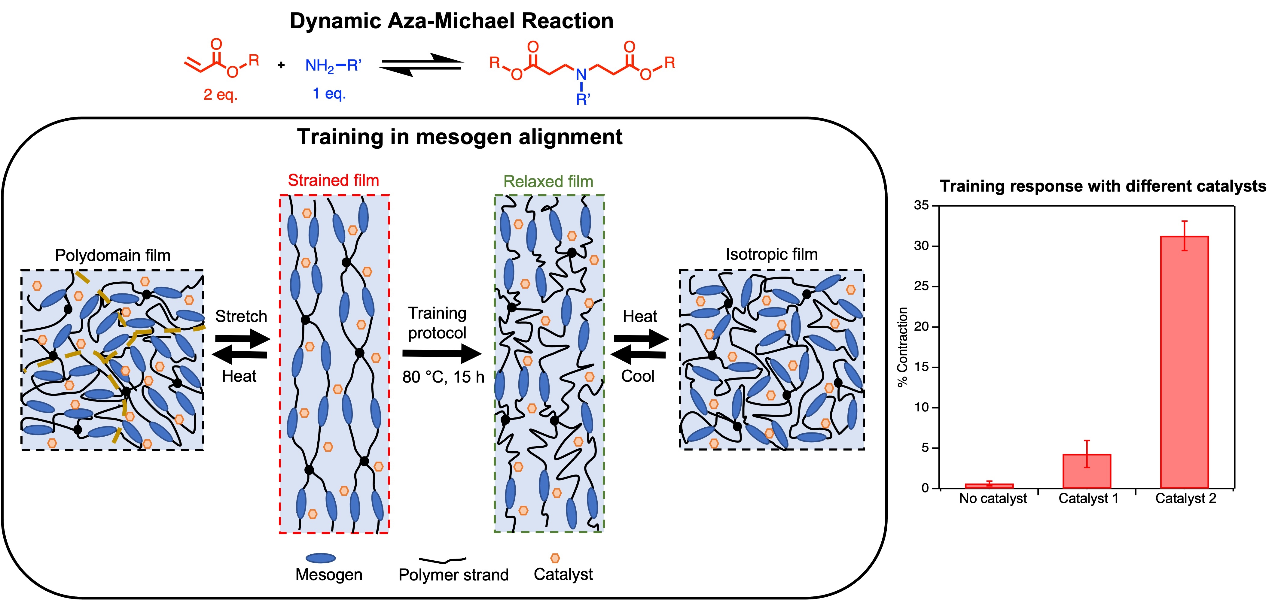 Trainable Dynamic Aza Michael Based Liquid Crystal Elastomers American Chemical Society