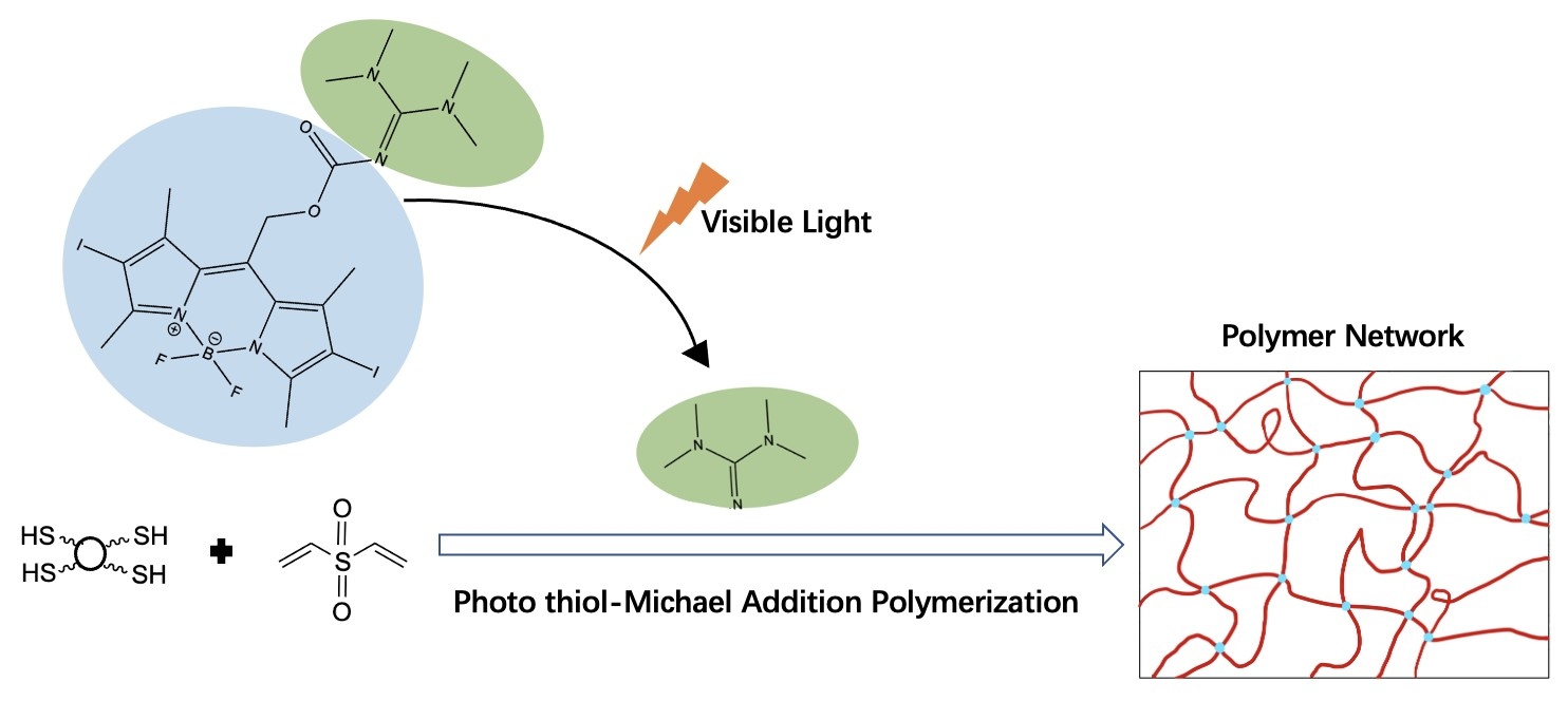 BODIPY-based initiators for photo-induced polymerization - American ...