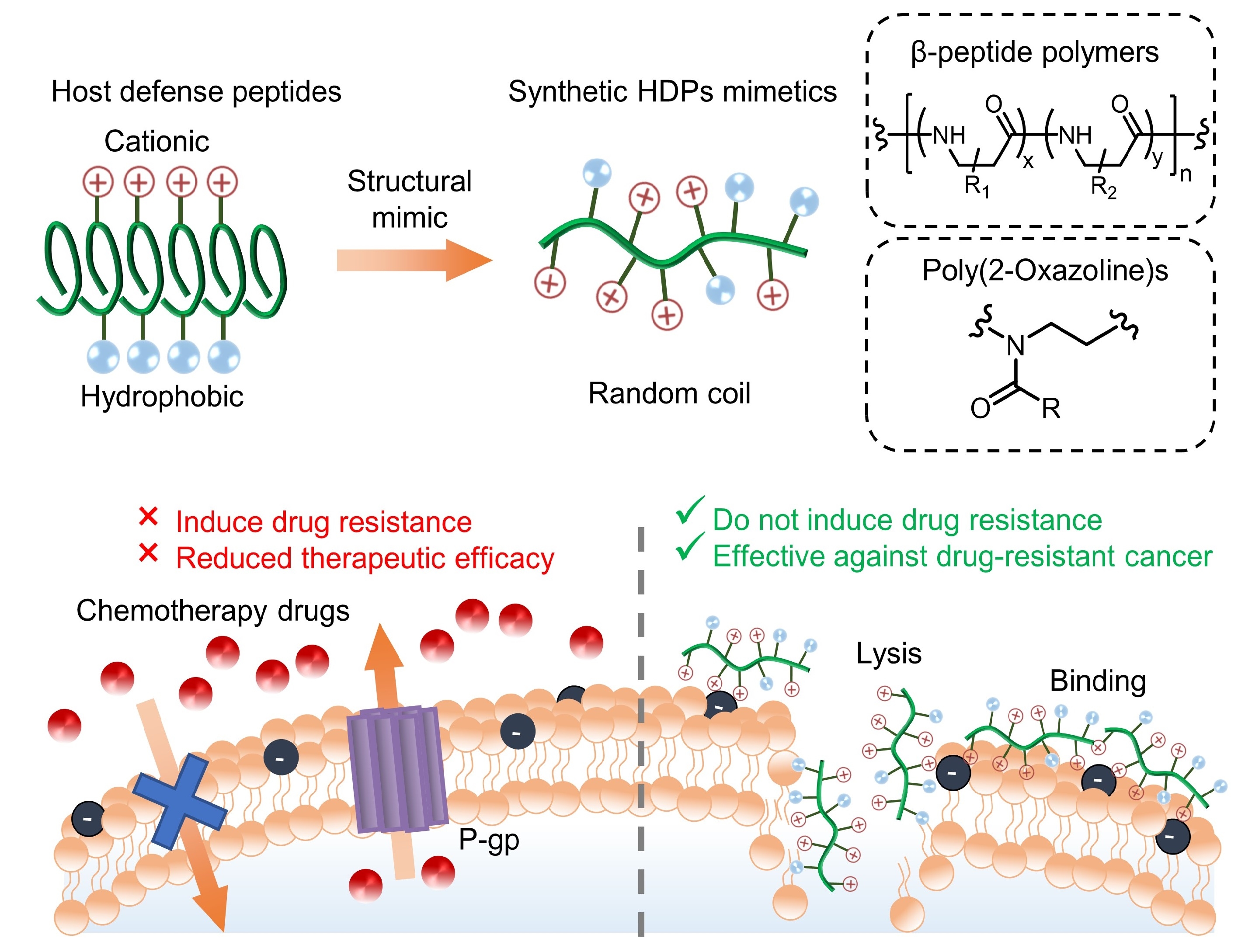 ACS Spring 2024 - Current & Upcoming Schedule - American Chemical Society