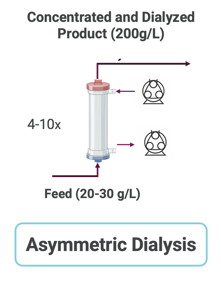 Asymmetric dialysis: Probing the mechanisms of truly unified buffer ...