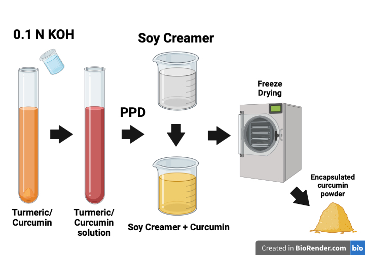 Utilizing a green pH-driven approach for developing curcumin-infused ...