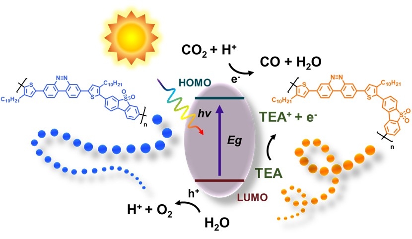 Effect of the backbone linearity of Benzo[c]cinnoline-based conjugated ...