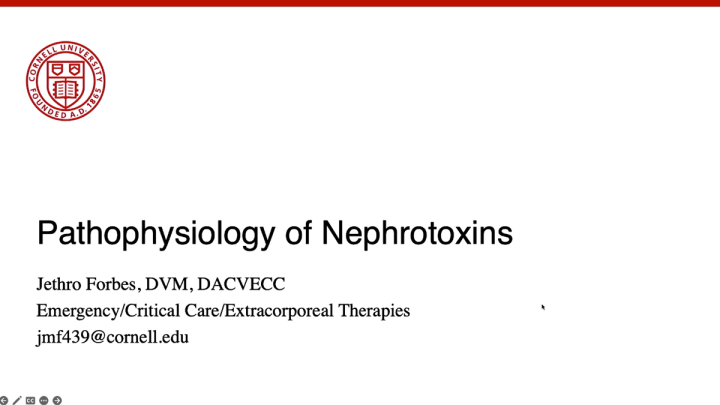 Mechanisms of Nephrotoxic Drugs - Veterinary Emergency and Critical ...