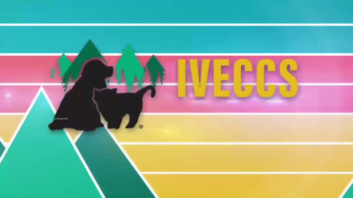 SIRS, Sepsis, and the Antibiotics Who Love Them - Veterinary Emergency ...