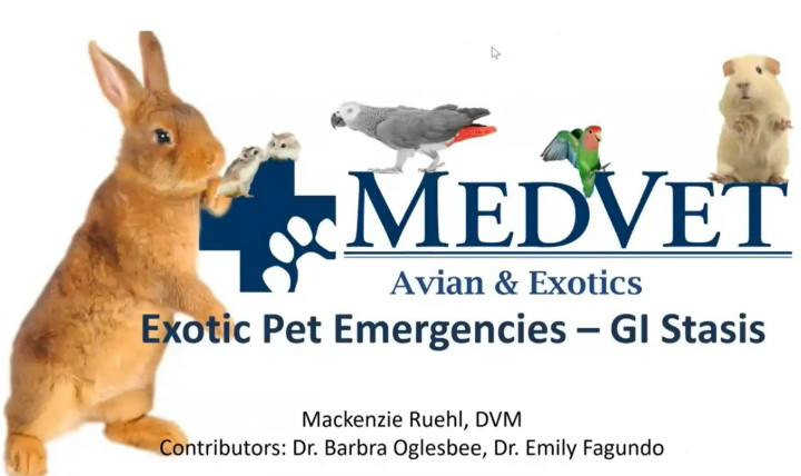 Exotic Emergencies - Veterinary Emergency and Critical Care Society