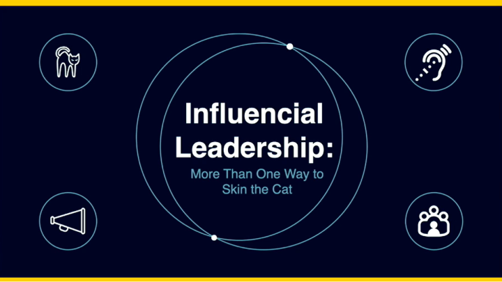 Influential Leadership Styles: More Than One Way to Skin the Cat ...