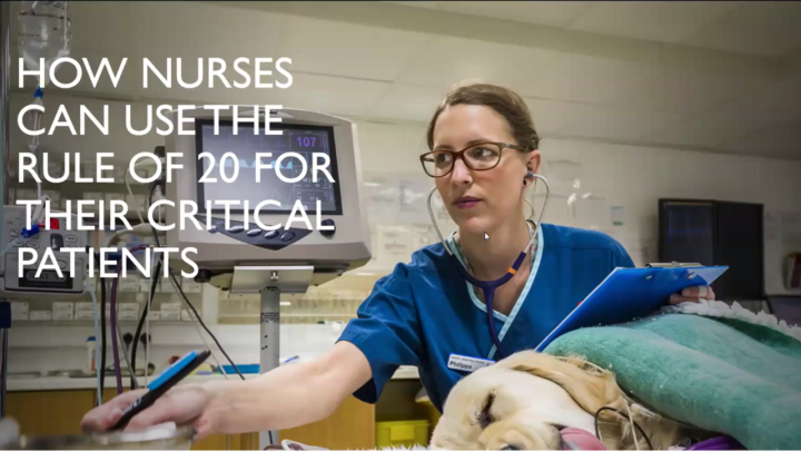 Critical Care Nursing: Kirby's Rule of 20 - Veterinary Emergency and ...