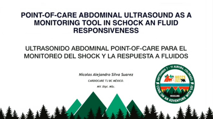 Ultrasonido abdominal point-of-care para el monitoreo en shock y ...