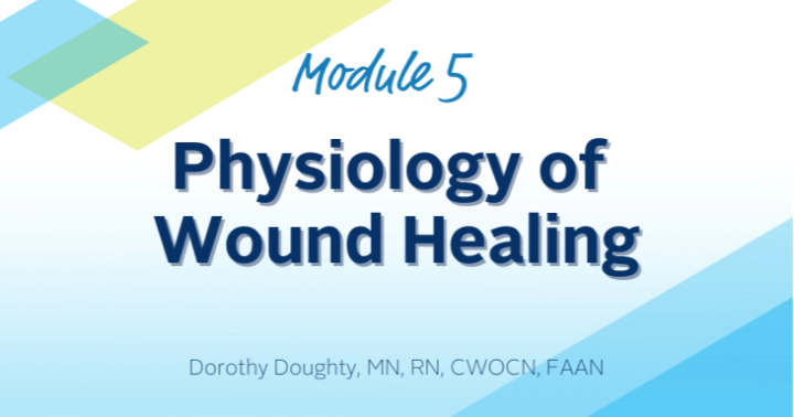 Physiology of Wound Healing - Wound, Ostomy, and Continence Nurses Society