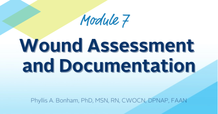 Wound Assessment and Documentation - Wound, Ostomy, and Continence ...